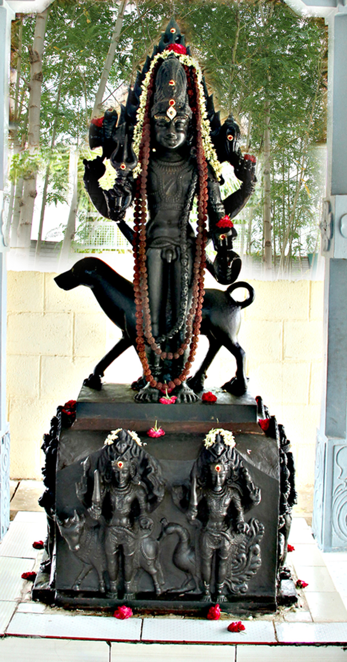 Danvantri Peedam - Universal Peedam: தொழிலில் வெற்றி பெற வேண்டுமா?