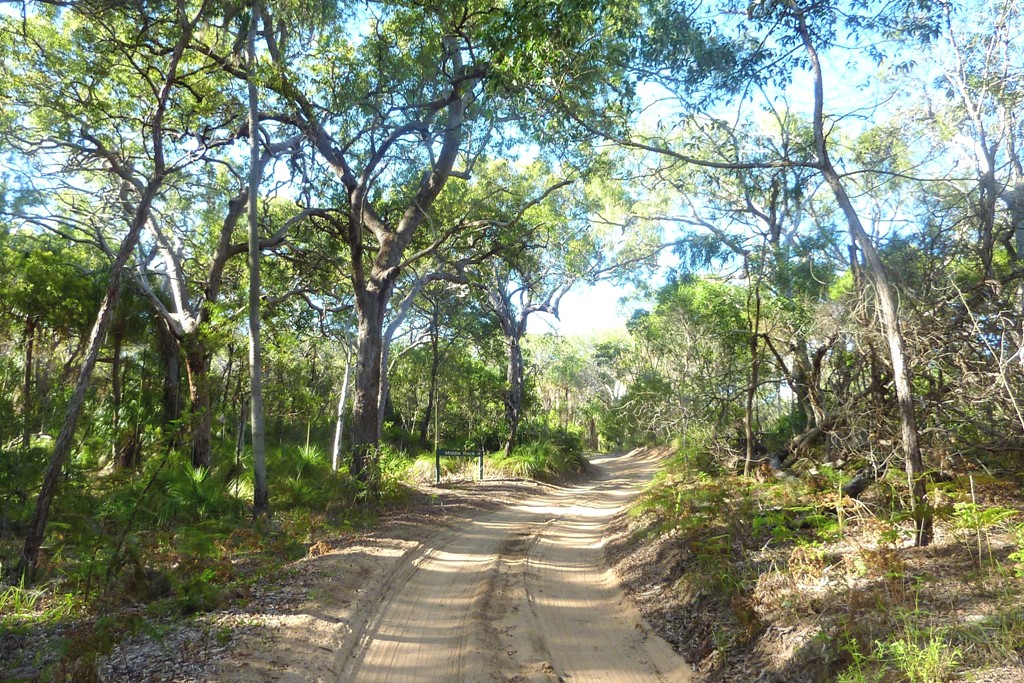 National Park Odyssey: Wreck Rock Campground and Middle Rock Campground ...