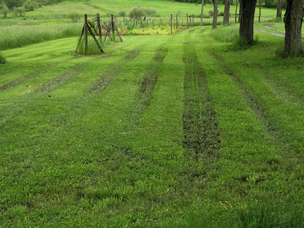 The Joyce Road Neighborhood