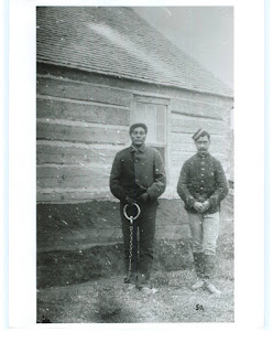 radioactivity: WENDIGO