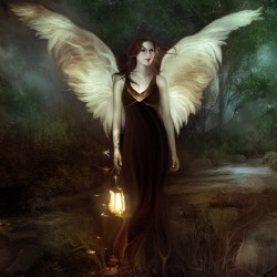 Casa da Goetia: 14 Mebahel