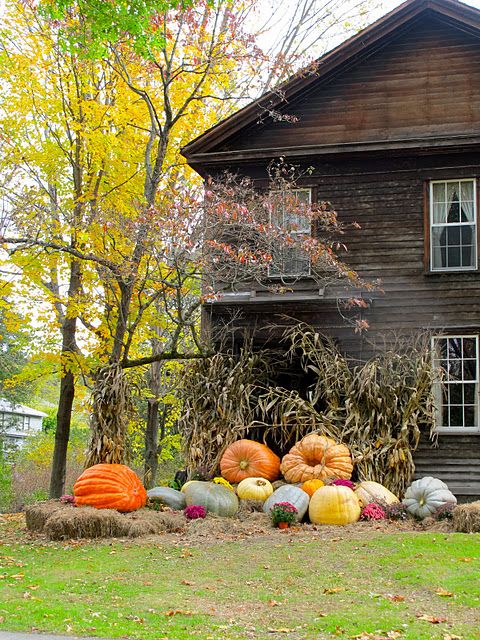 Notforgotten Farm : ~ Inspiration from the Farm