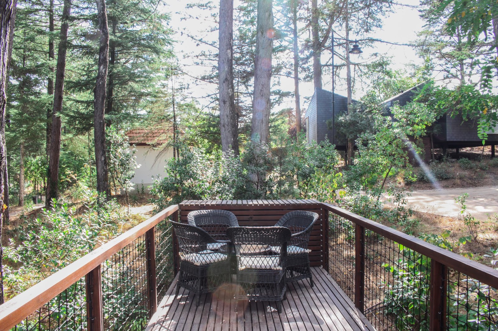 Pedras Salgadas - Spa & Nature Park | Tapas na Língua | Bloglovin’