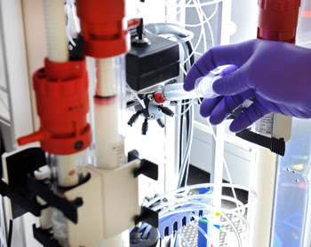 Creative Biolabs : How to Increase Protein Production Capability?