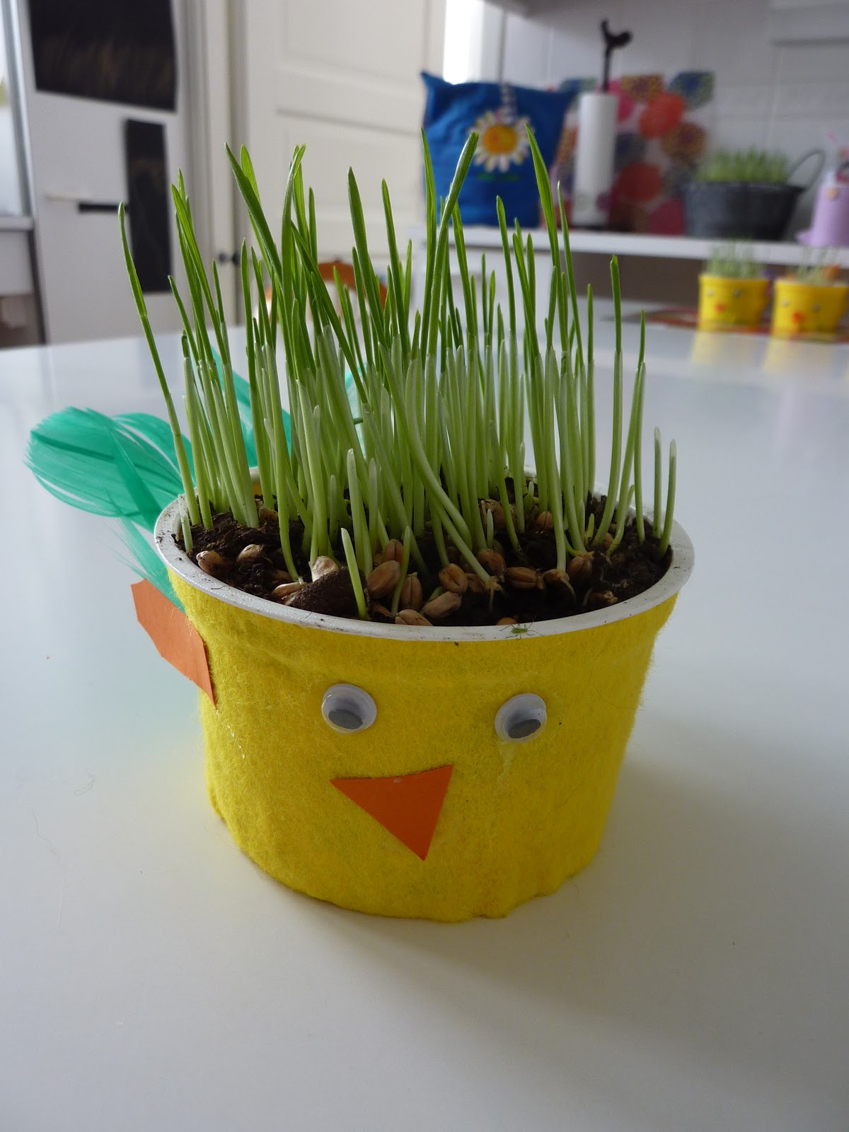 Taikataikina: Rairuohoja