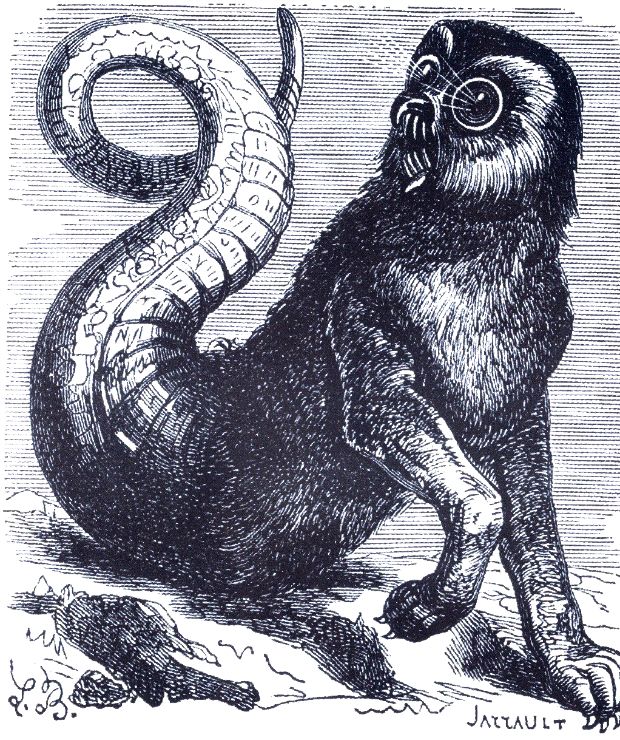 Aamon, a Sabedoria do Passado e do Futuro (Mitologia/Demonios)