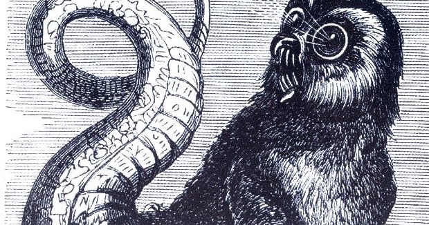 Aamon, a Sabedoria do Passado e do Futuro (Mitologia/Demonios)