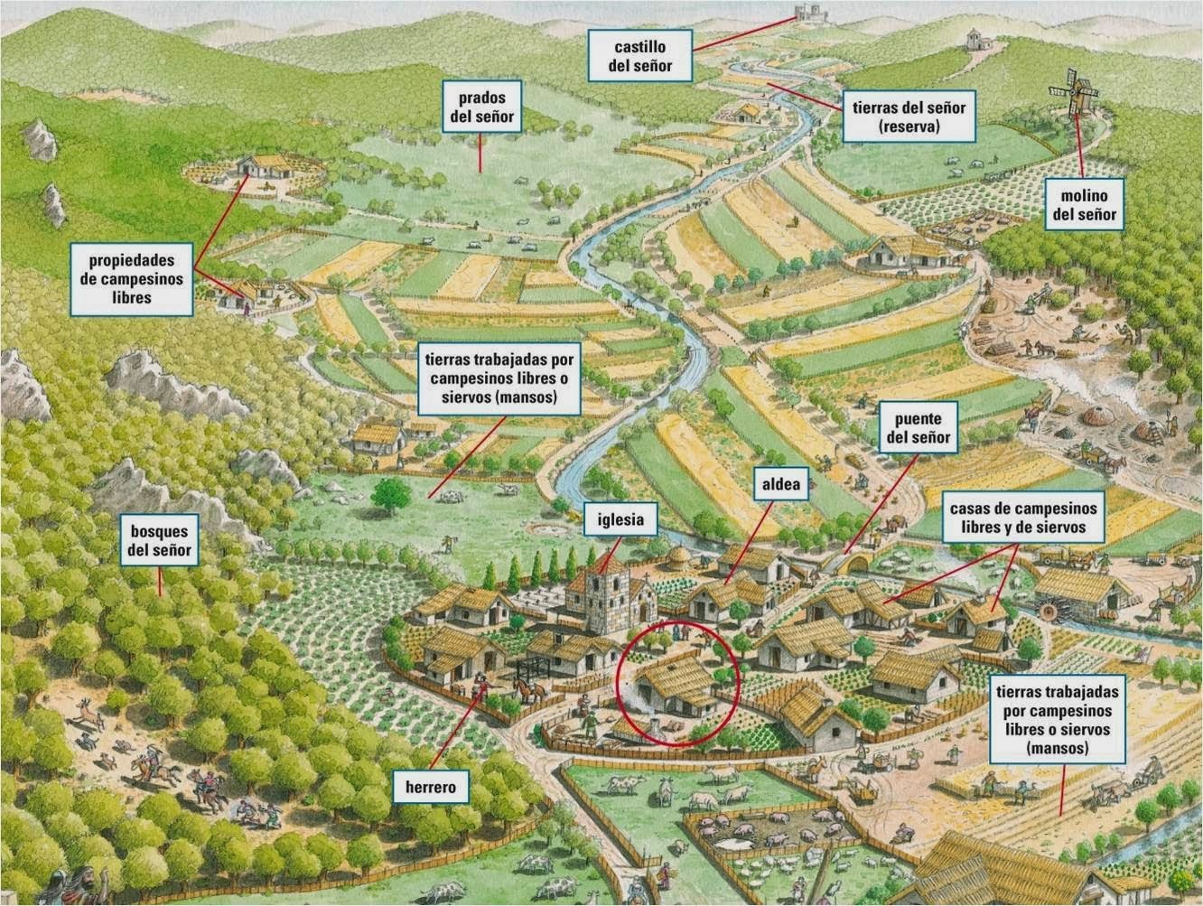 2° HISTORIA 2017: El señorío medieval