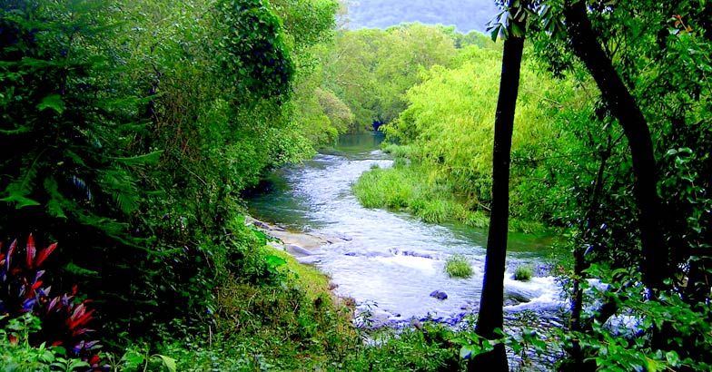 Musings 'n scribblings of a philanthrope .. : SAI sanctuary, Kodagu ...