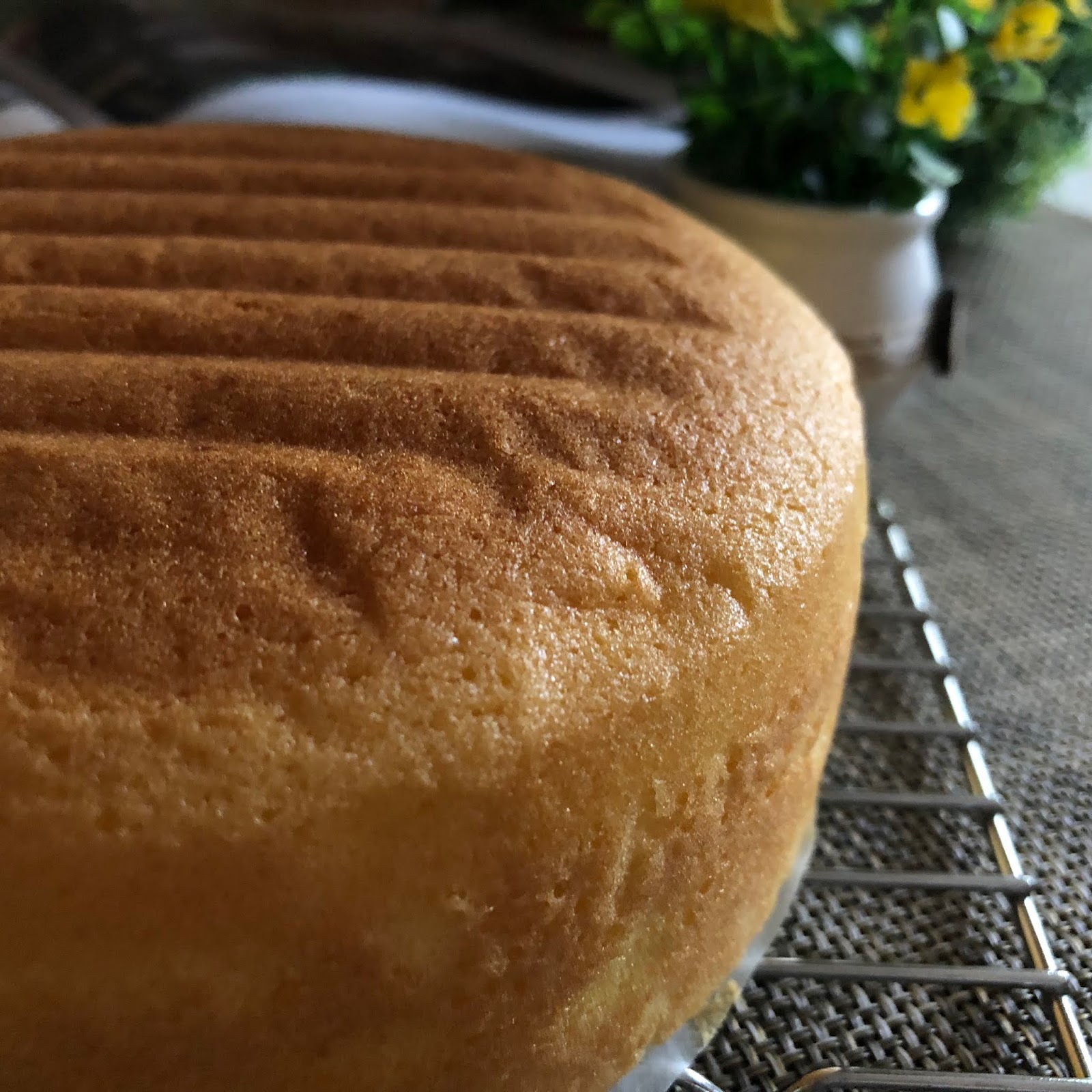 My Mind Patch: Honey Genoise Cake