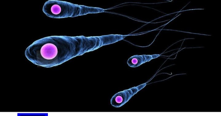 EmengenMed Health Blog: Tétanos generalizado