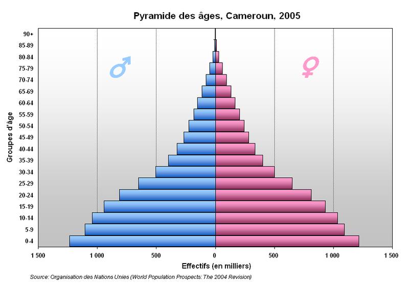 Que Es La Piramide De Poblacion
