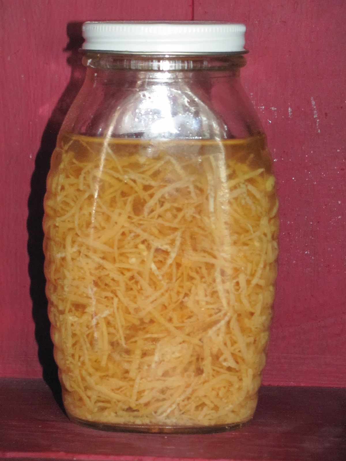Homesteading on the Homefront: Homemade Citrus Extract and Dehydrated ...