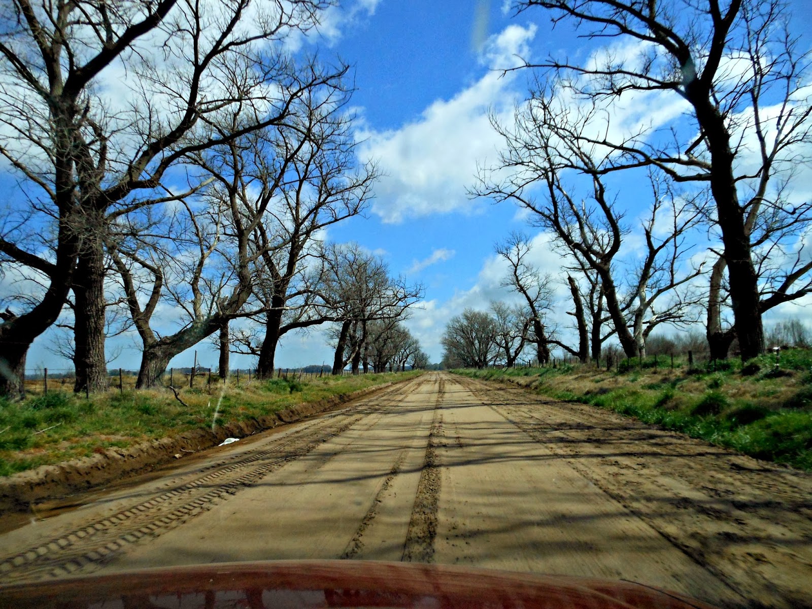 CAMINANDO LA PAMPA: La Larga, Buenos Aires, Argentina