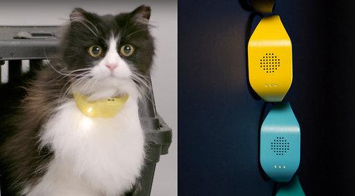 Catterbox – A Smart Collar That Translates Cat Meows into Human Speech ...