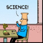 Darwinfish 2: A Scene from The Summer of Bluz