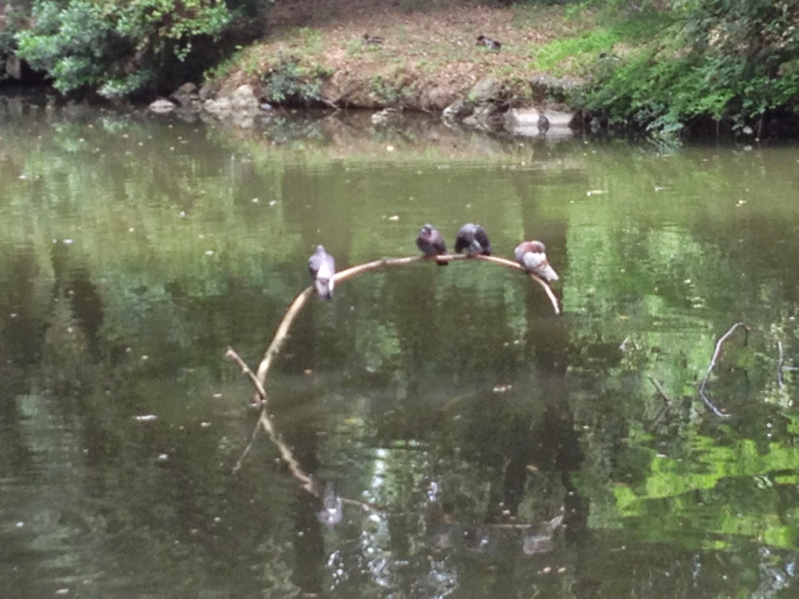 Abbastanza Buono - Living in Italy: The Frederick Stibbert Museum in ...