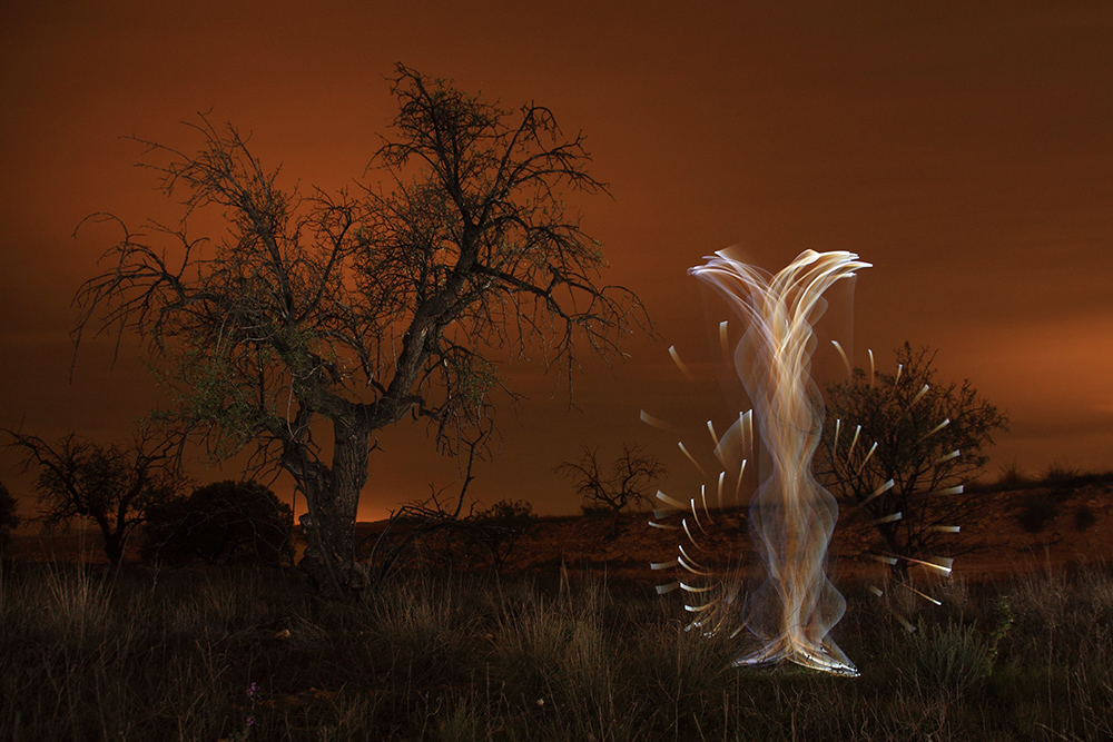 Una ventana a la naturaleza: Light Painting