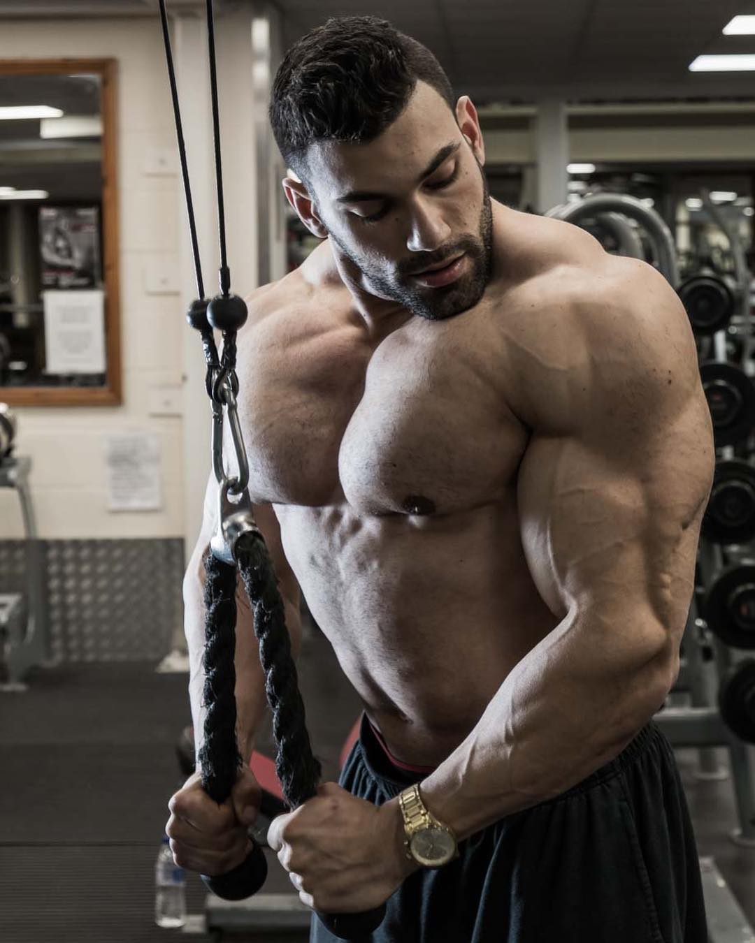 Muscle Lover: Maltese IFBB Pro bodybuilder Luke Debono