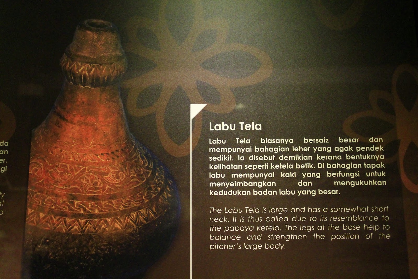 Jenis-Jenis Labu | D_08