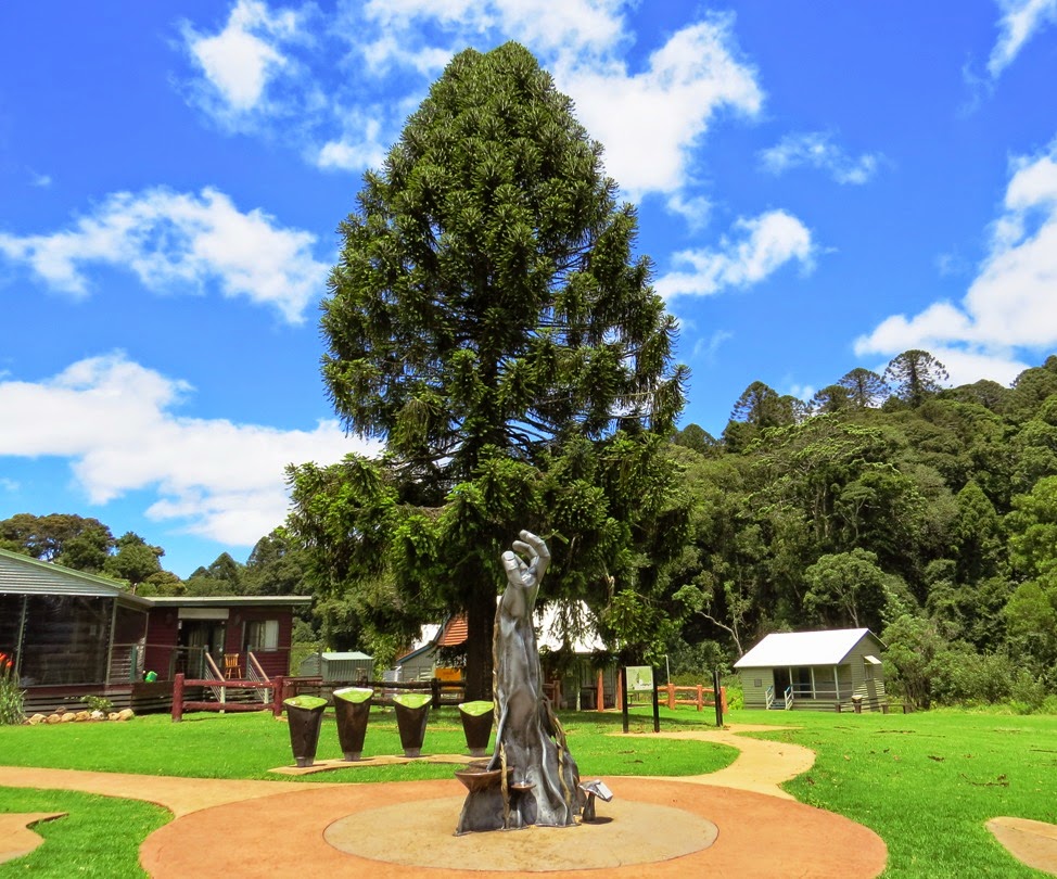 National Park Odyssey: Bunya Mountains National Park, QLD. Part 1.
