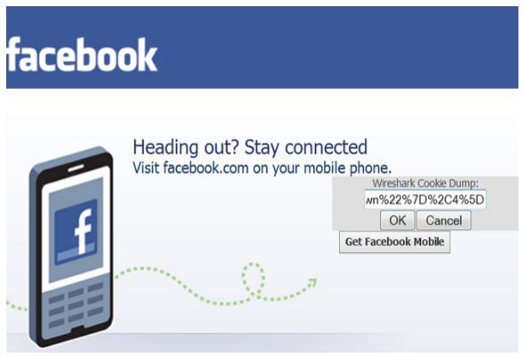 TecHacK: Hack Facebook accounts using COOKIE STEALING and SESSION HI ...