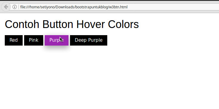 Membuat Berbagai Macam Button Dengan W3.CSS ~ Setiyono's Blog