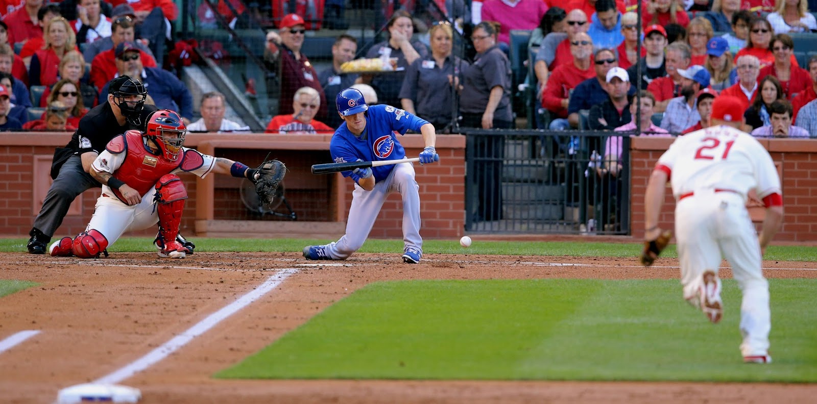 Small ball helps Cubs get huge win ~ Roshi Sports Lahore