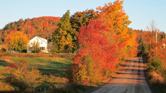 Our Serene Planet: Fall Colors, Middleton, Nova Scotia, Canada