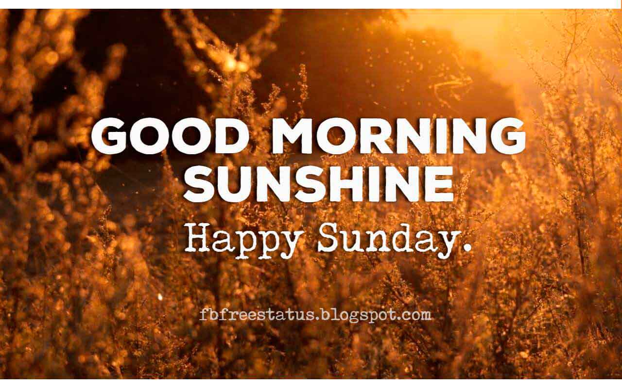 Inspirational Sunday Quotes That Will Inspire You