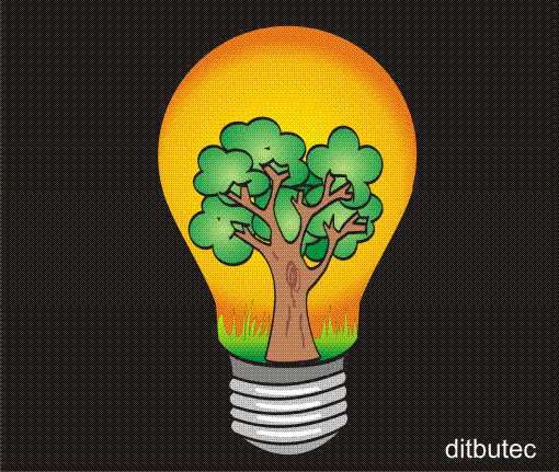 Ciencias Naturales: Características de la luz