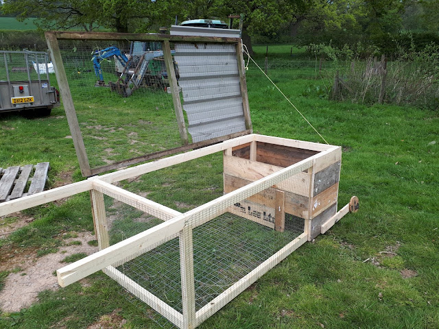 An English Homestead: Meat Rabbits