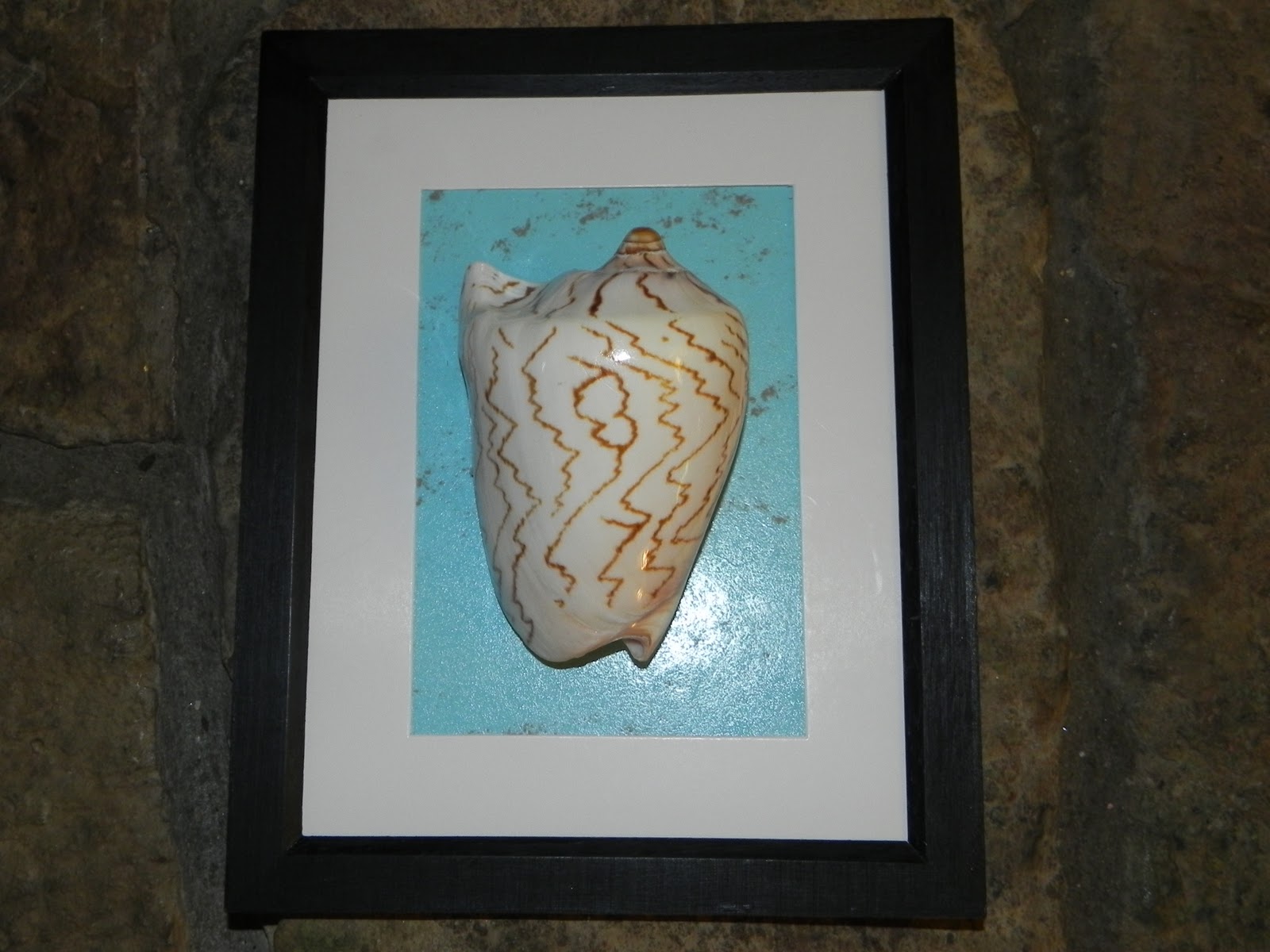Smart n Snazzy: Decor DIY ~ Framed Shell Art