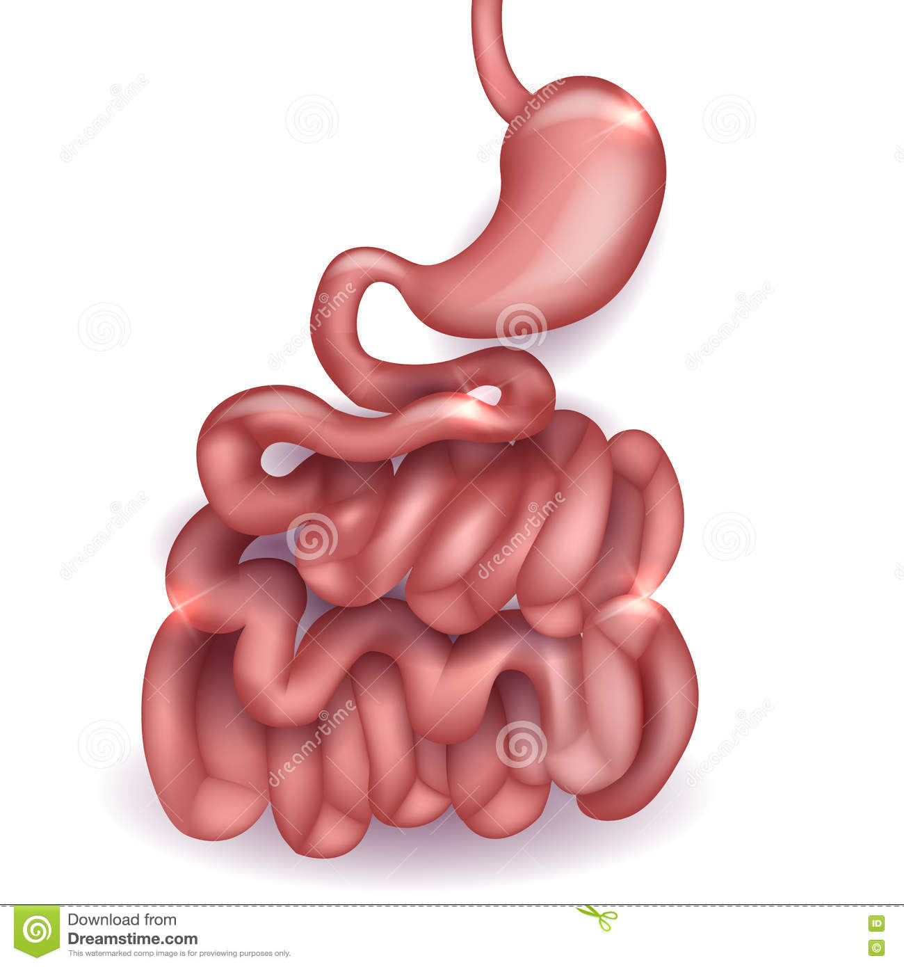 Salud y medio ambiente 3c: Digestivo