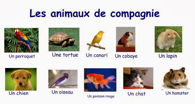 COUP DE FLE: enero 2021