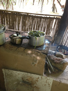 The Zau's Do Honduras: Roatan Cultural Park - Herbal and Bush Medicine ...