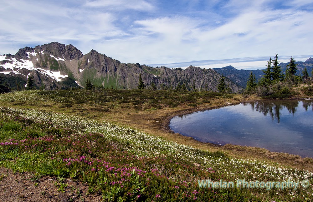 Walks with Moss: Coming full circle on the high divide -day 3 Ghosts on ...