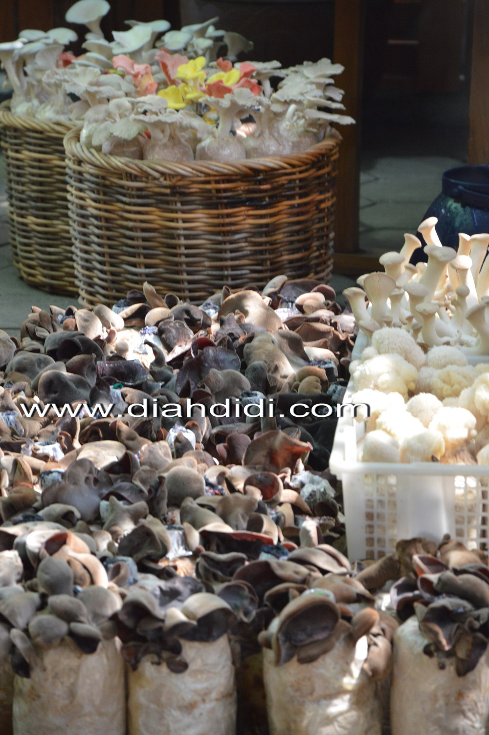 Diah Didi's Kitchen: Tak Pernah Bosan..Makan di Warung jejamuran..Jika ...