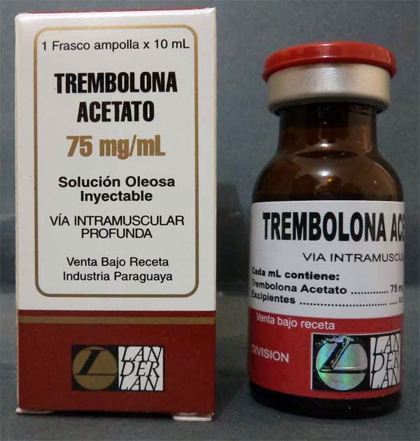 Tudo sobre Trembolona ~ Tudo de Suplemento