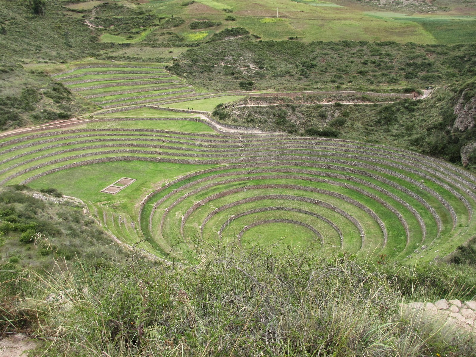 Robert's Tropical Paradise Garden: A Taste of Peru