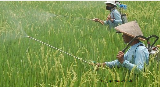 Macam pestisida berdasarkan sasarannya - Naga Pena
