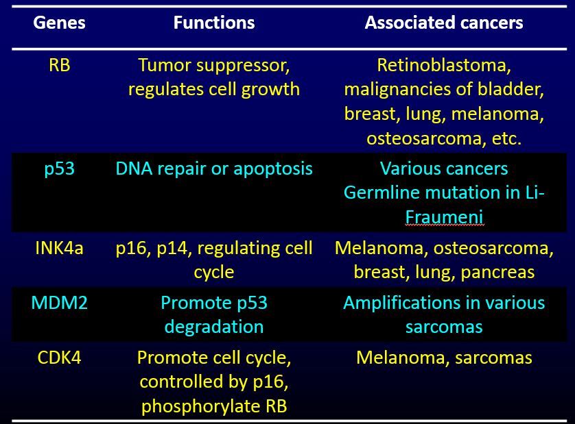 Osteosarcoma
