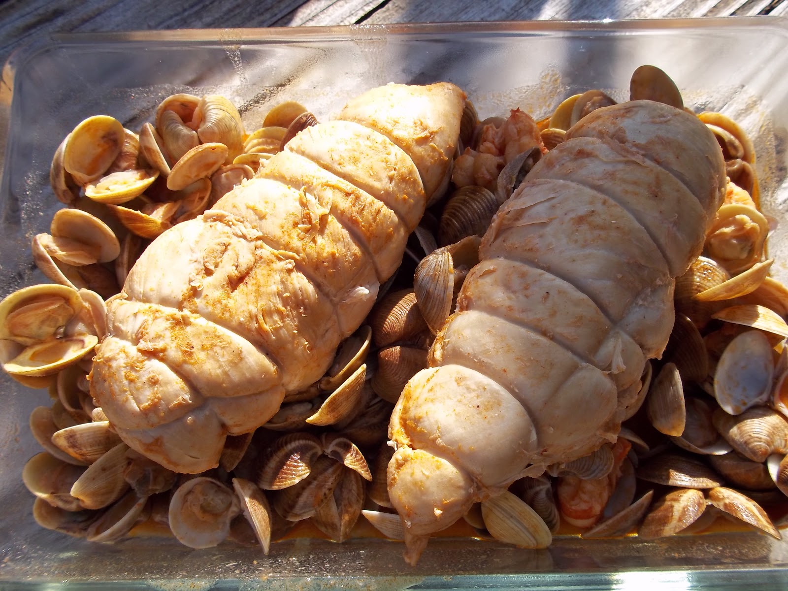 IRENE KOKEN THUIS: POLLO DE MAR