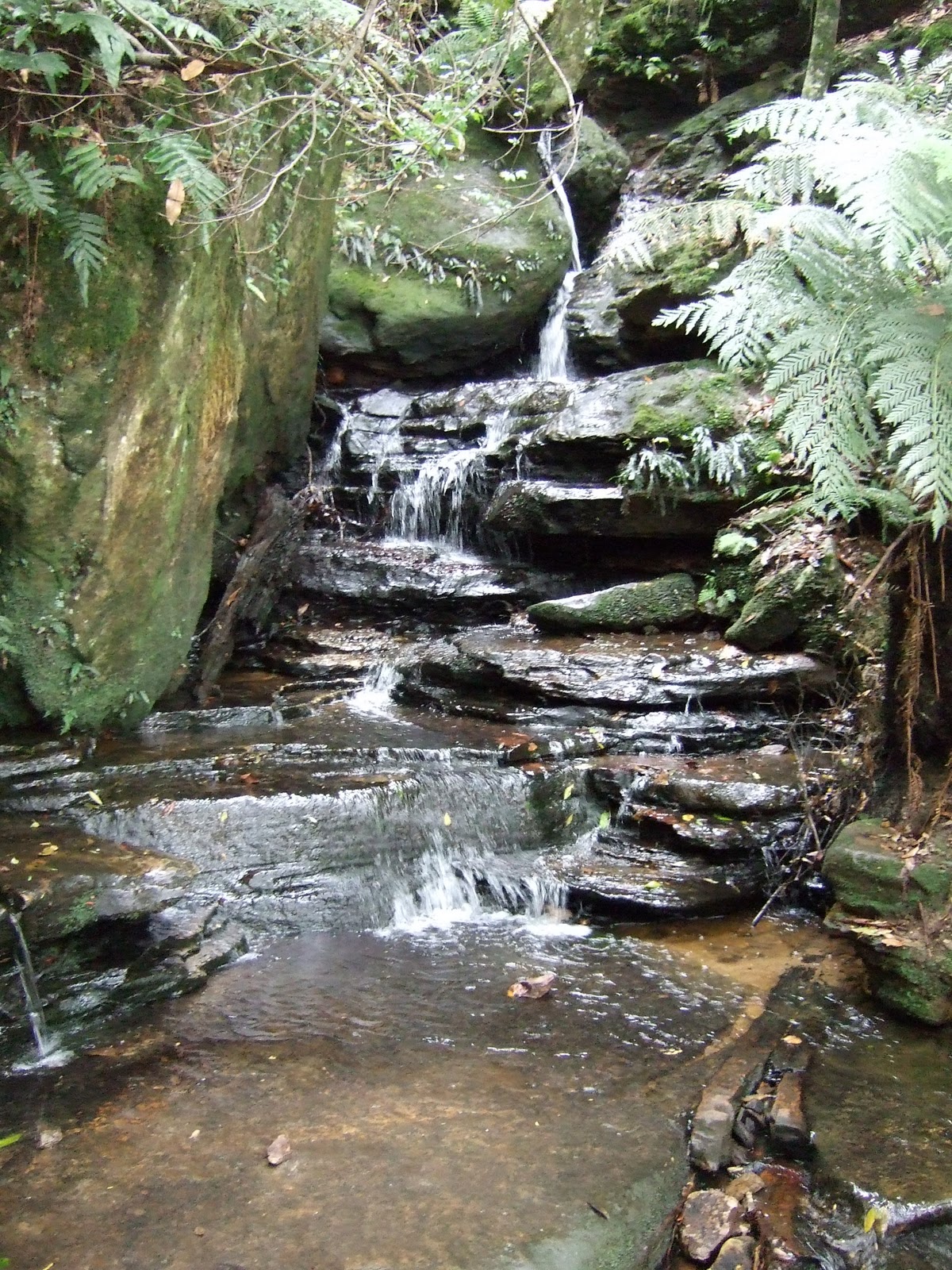 Barb + Rob Down Under: Katoomba Falls