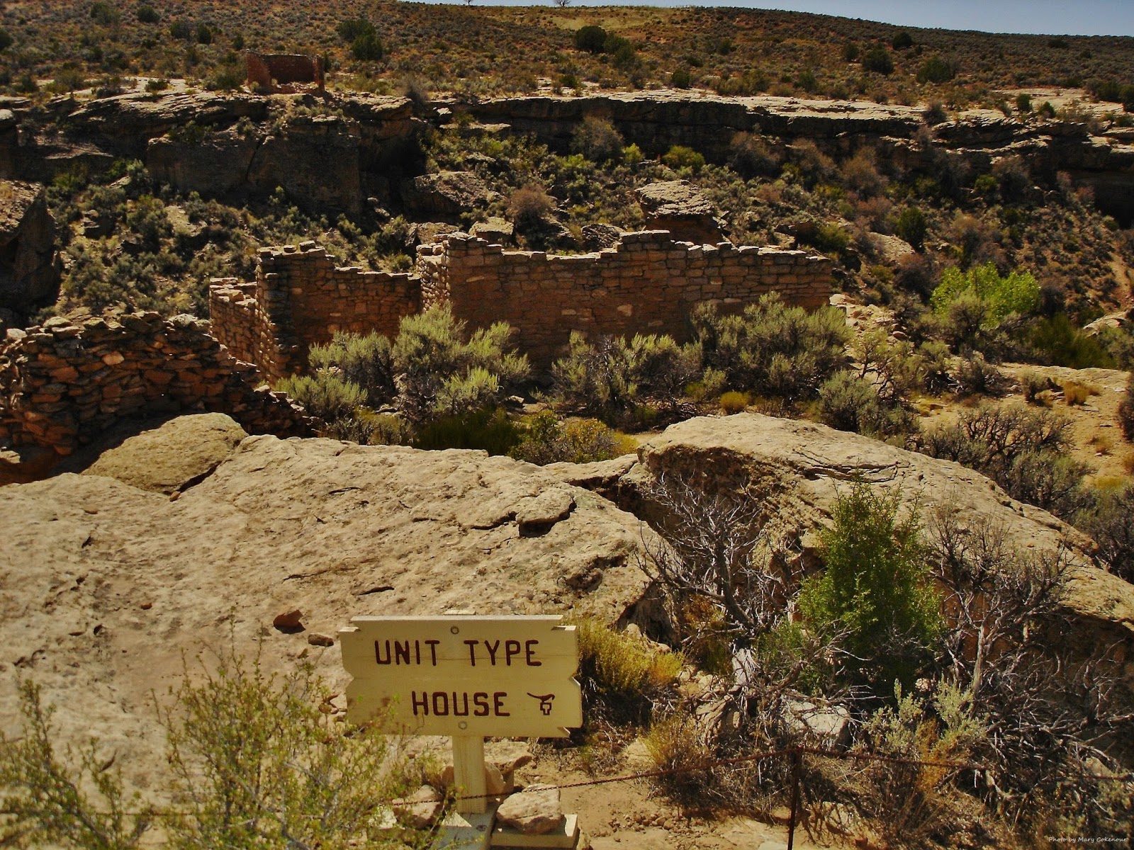 The Southwest Through Wide Brown Eyes: Yes, We Did Make it to Hovenweep!