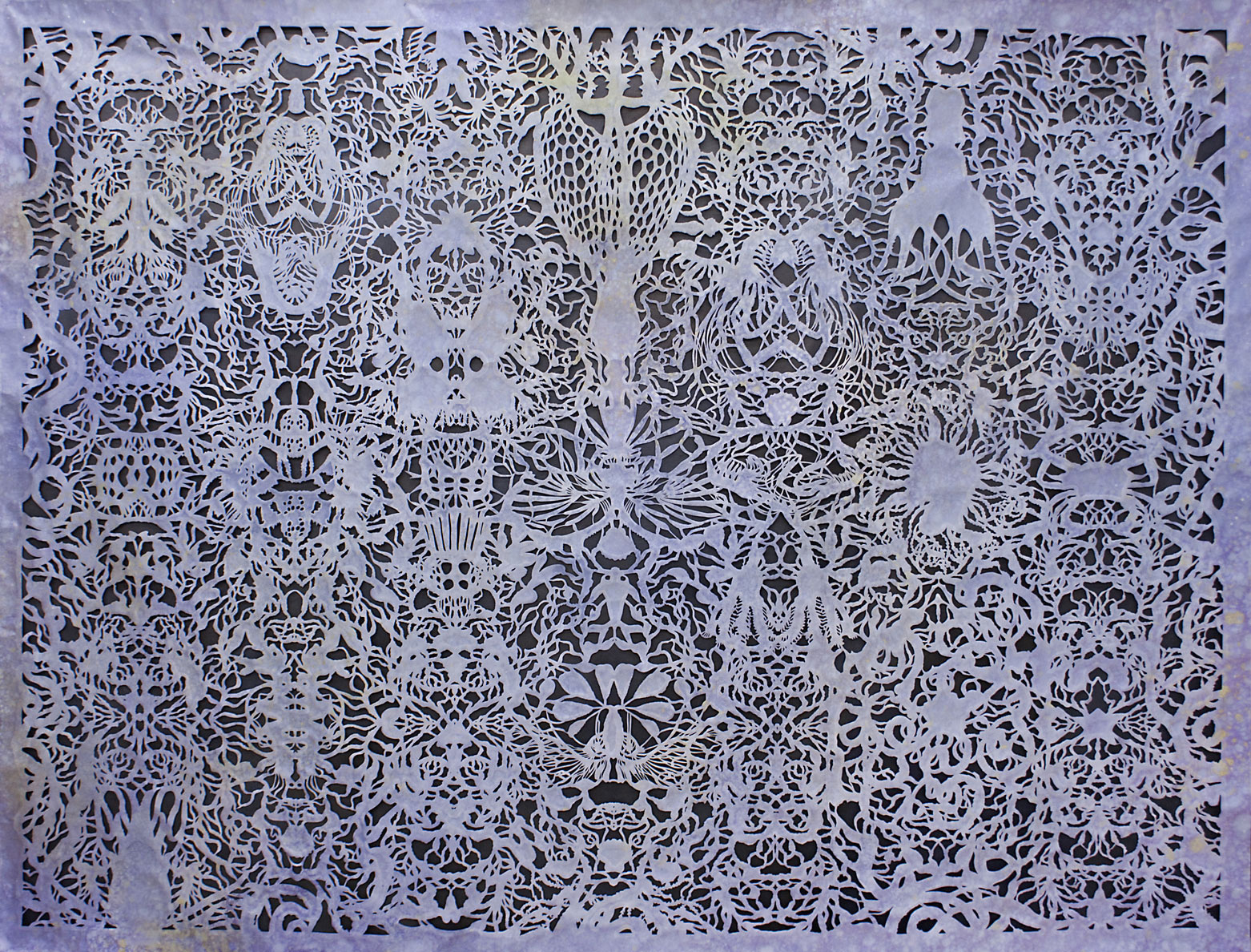lizz aston: Opening: Ed Pien, Under Water