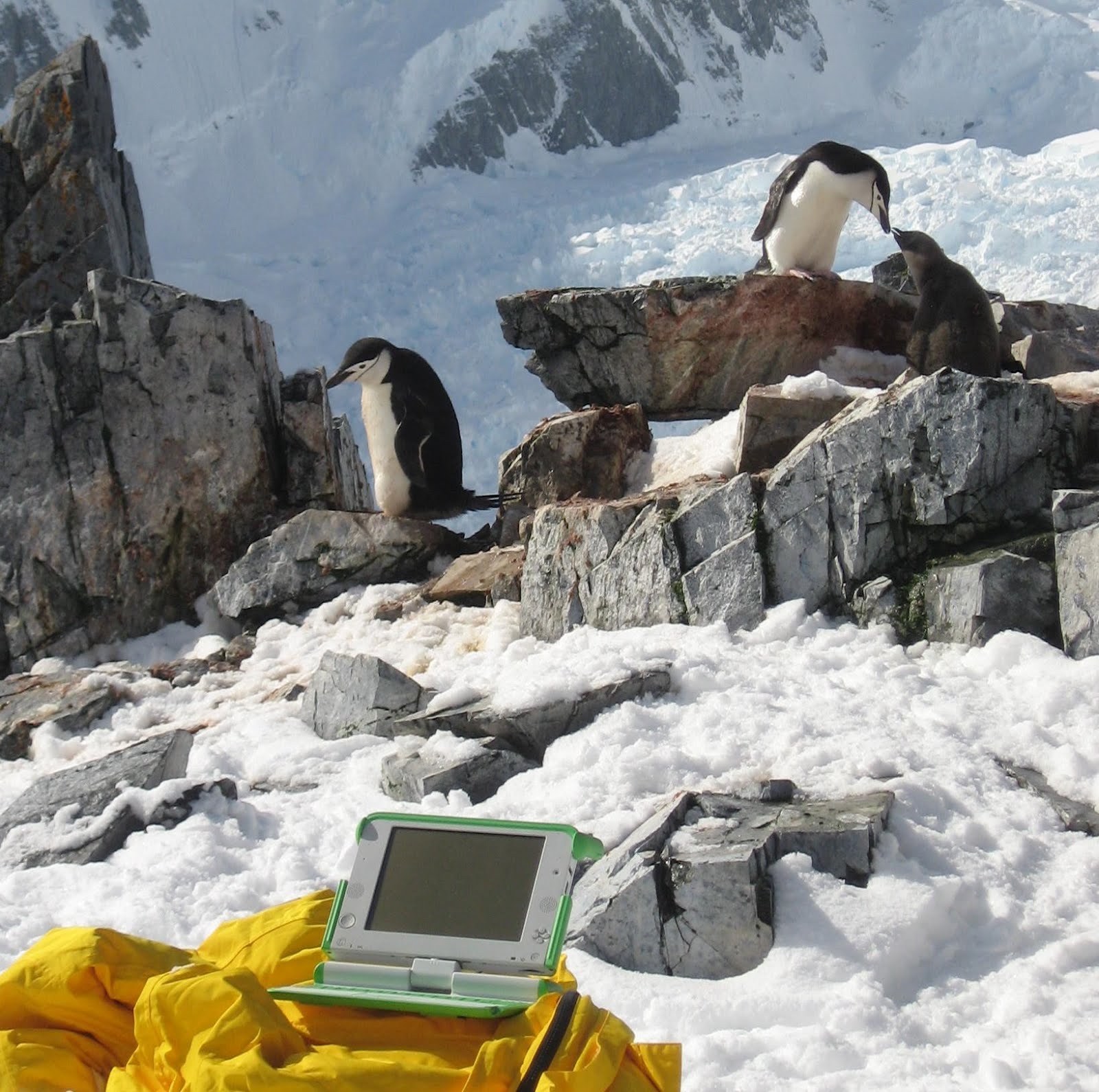 Bill Kerr: a tux moment