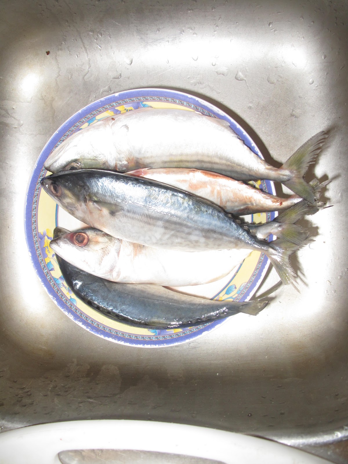 Indian Foods Corner: Bangude Meenina Tawa Fry - Mackrel Fish Fry