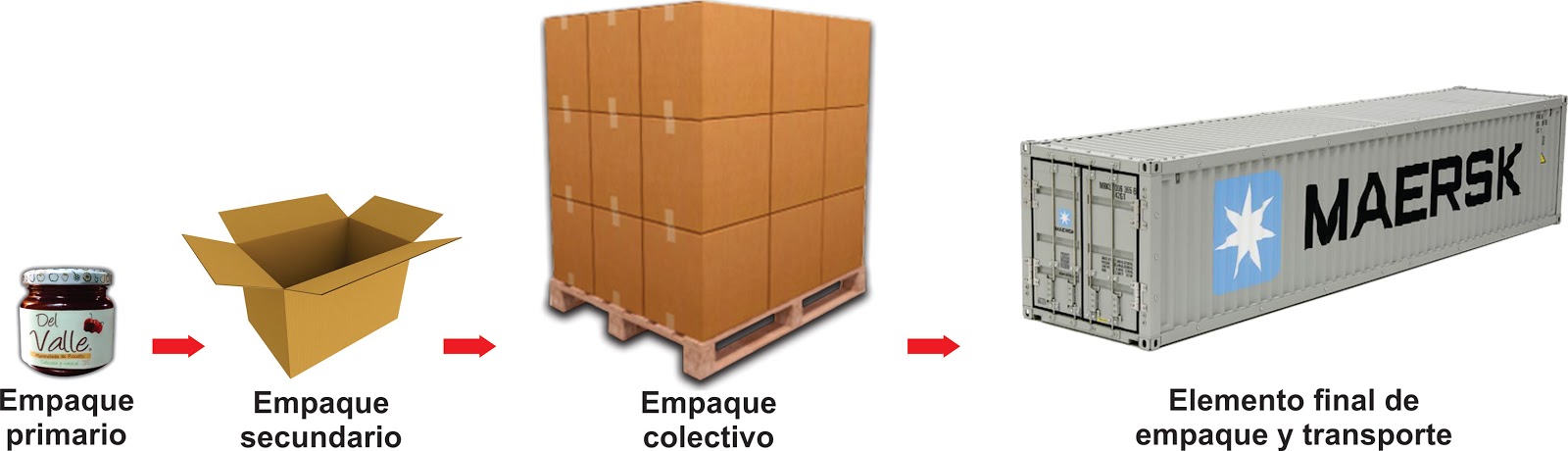 Desarrollo de productos y marcas: Etiquetado, Envase y Embalaje