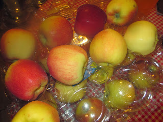 Creativity in the Kitchen: Lacto-Fermented Dehydrated Applesauce Fruit ...